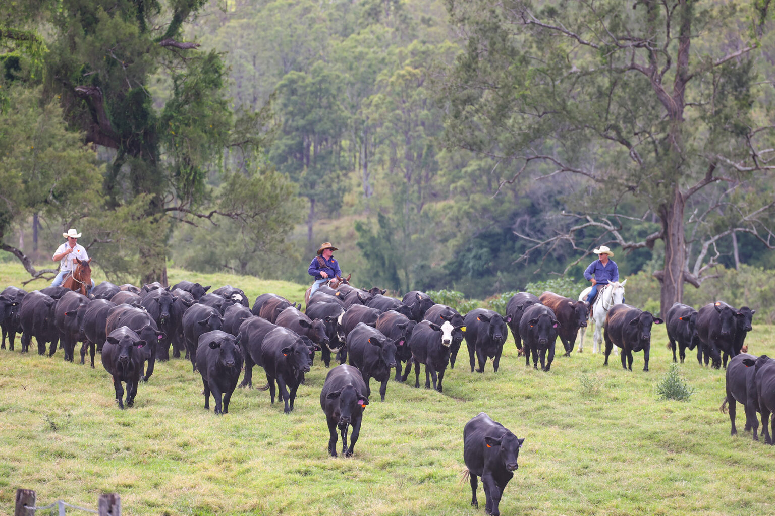 Commercial - Yulgilbar